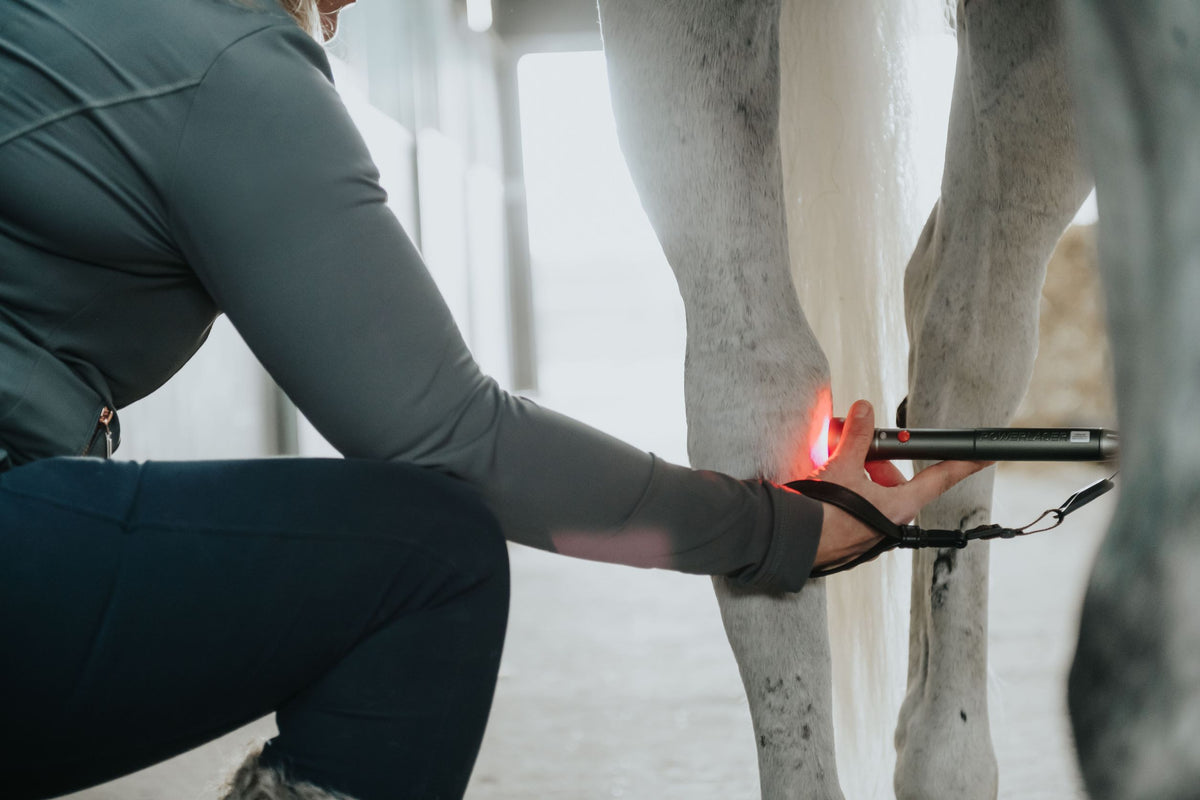 PowerMedic PowerLaser™ Basic1200 VET — Therastock